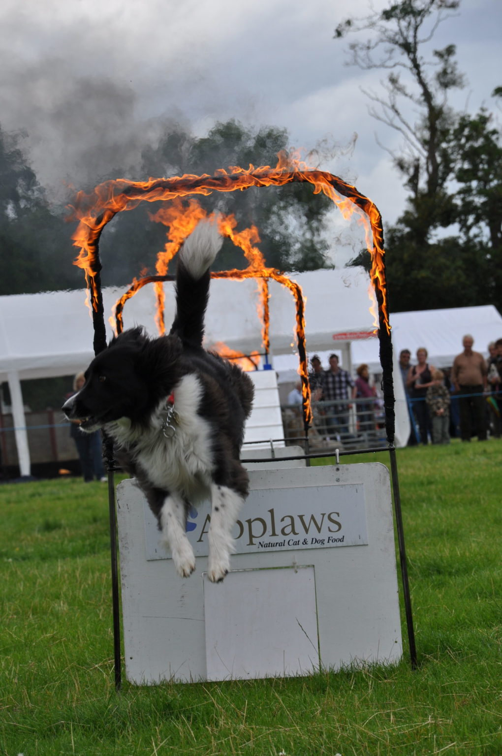 Things for children to do at Tenbury Show | tenburyshow.co.uk