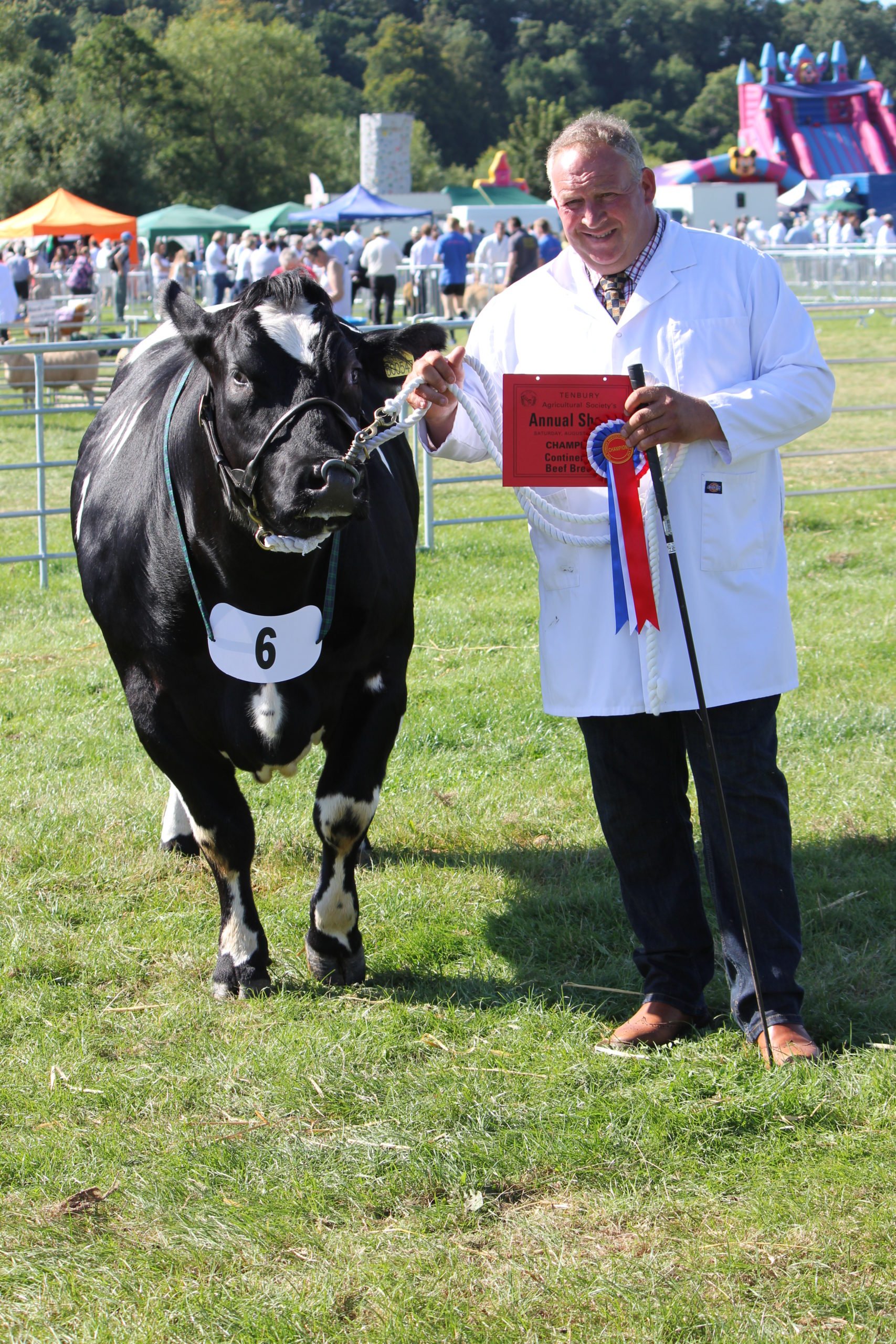 Tenbury Cattle Show - Tenbury Countryside Show