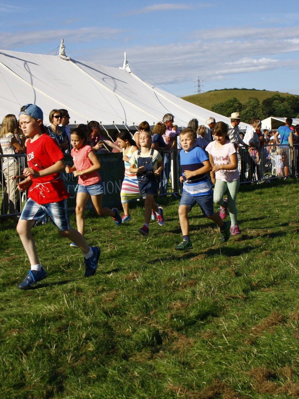The Main Ring at Tenbury Show | tenburyshow.co.uk