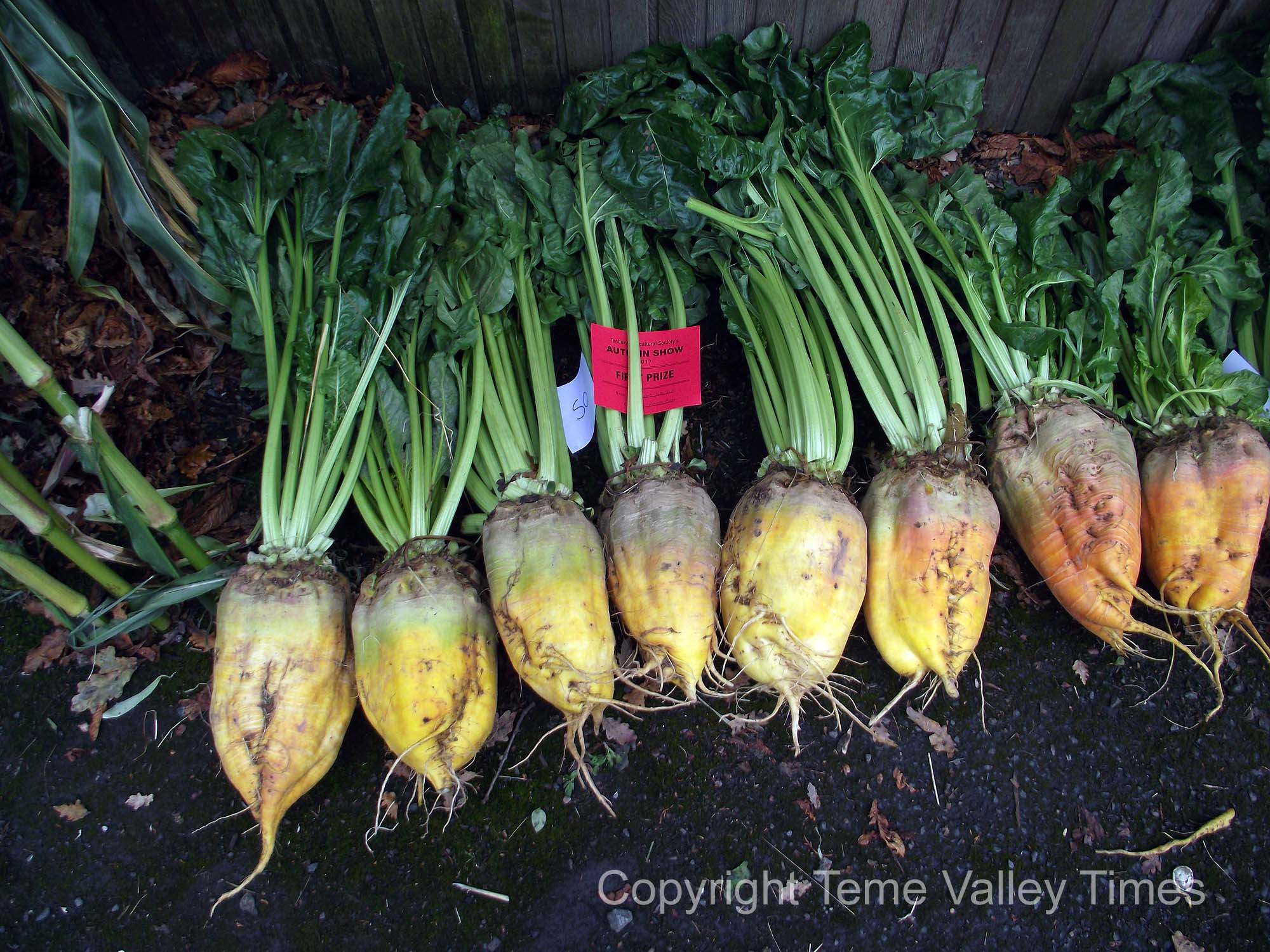 West of England Harvest Show is Fast Approaching! - Tenbury Countryside ...