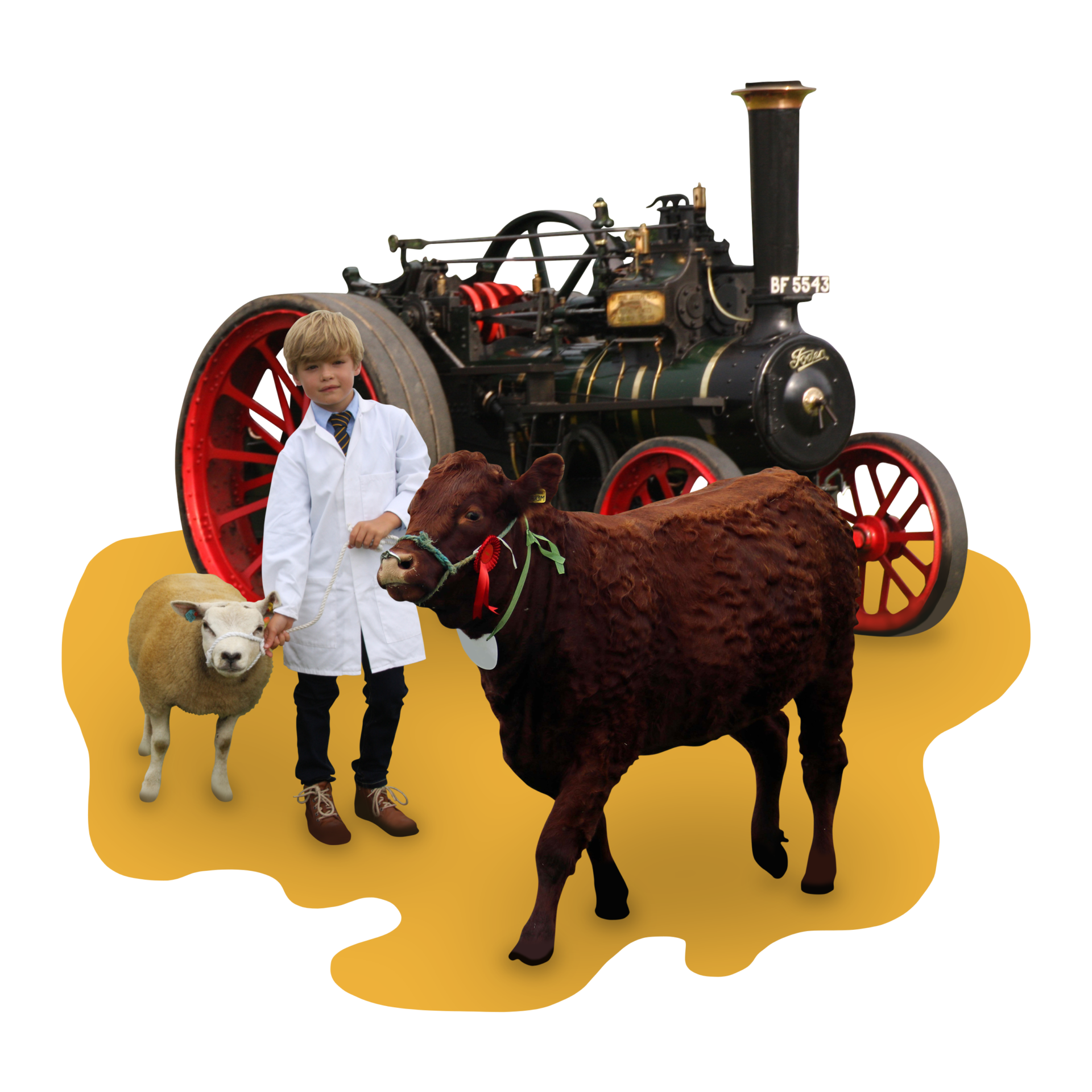 About Tenbury Show | tenburyshow.co.uk