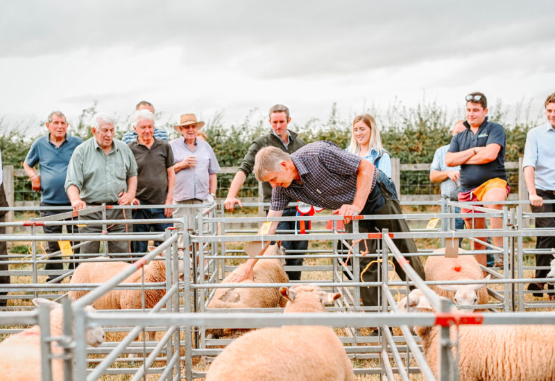 Tenbury Countryside Show - Saturday 5th August 2023