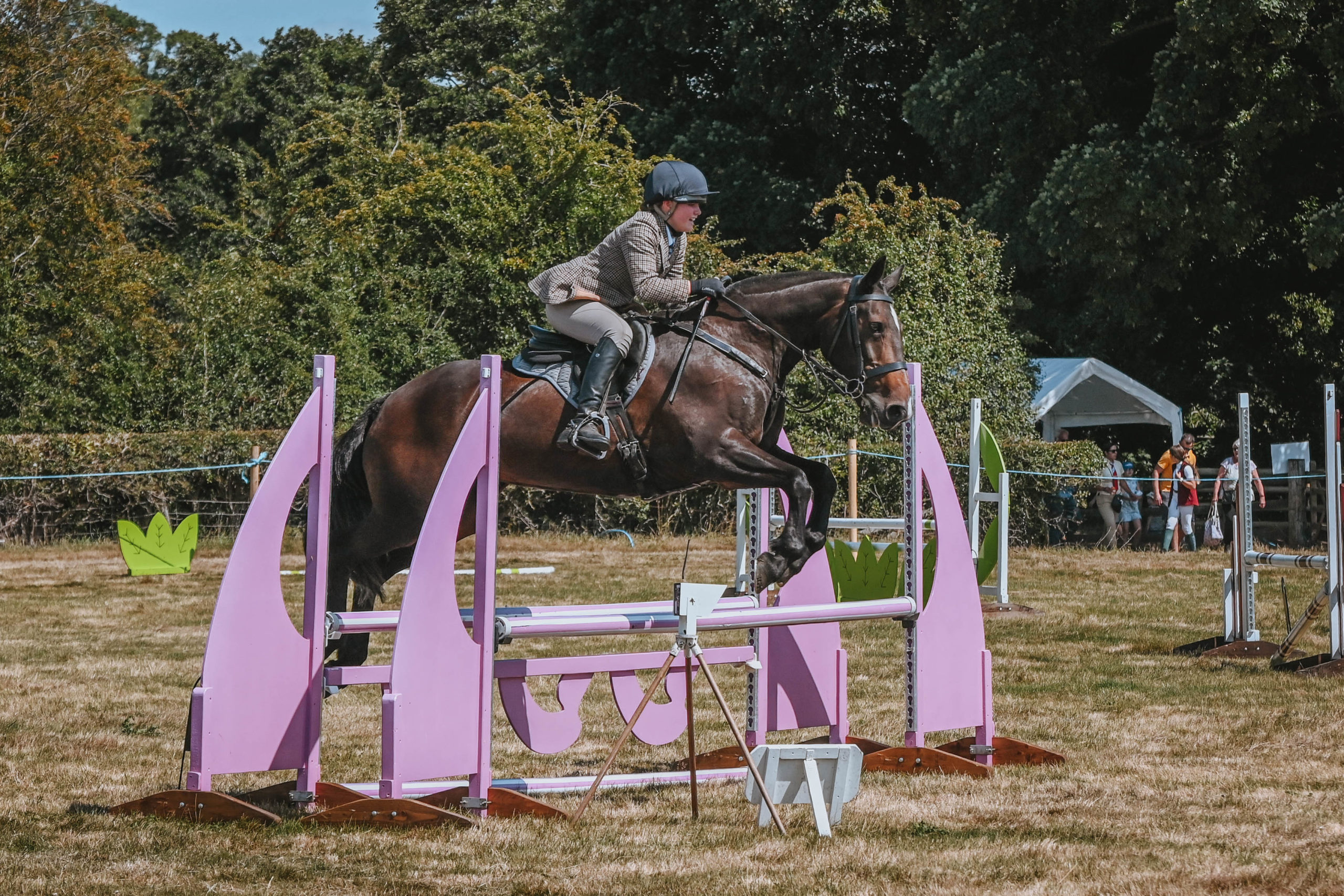 Horse & Pony Section Update - Tenbury Countryside Show