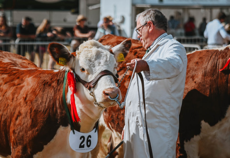Tenbury Countryside Show - Saturday 3rd August 2024