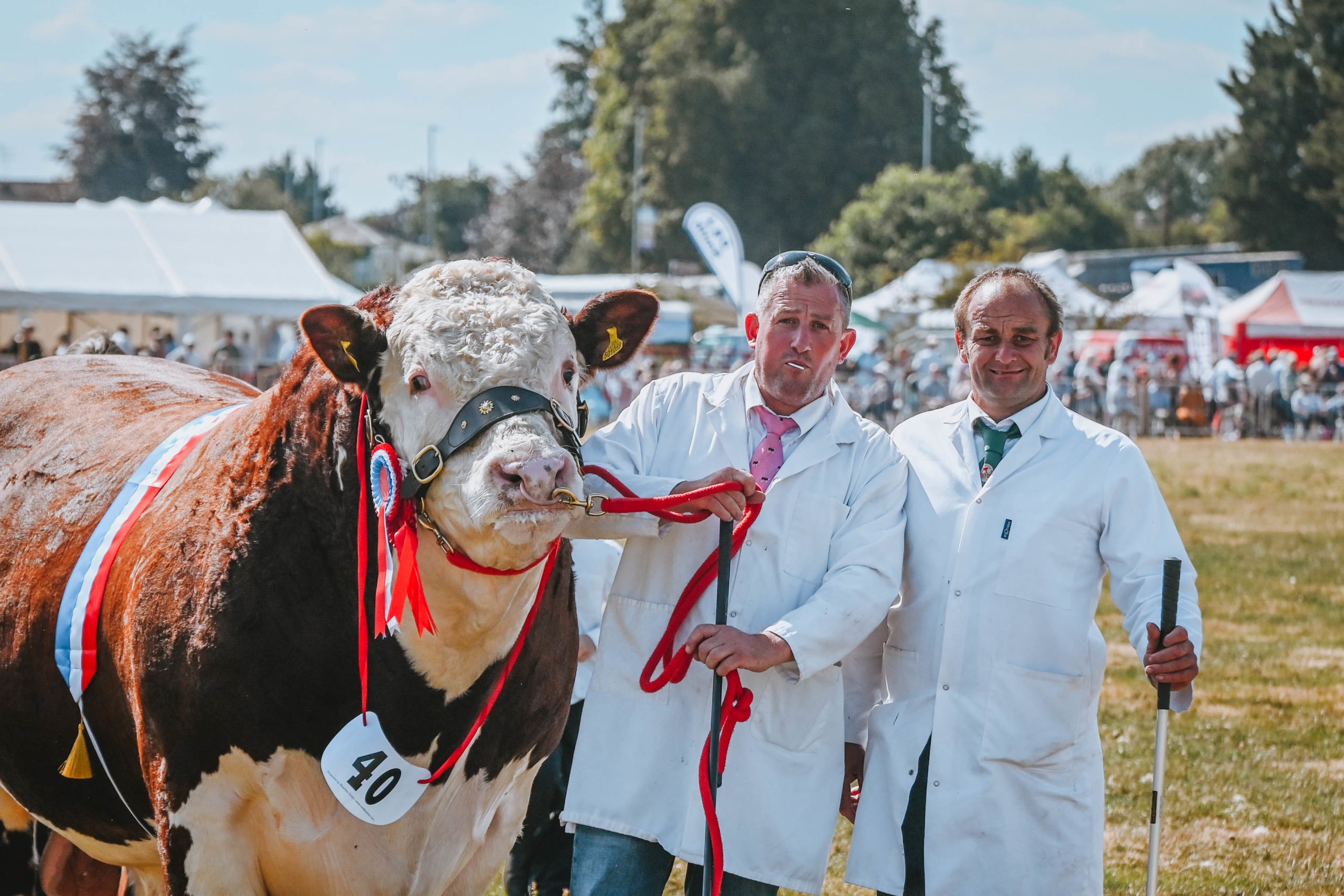 National Hereford Show - Tenbury Countryside Show